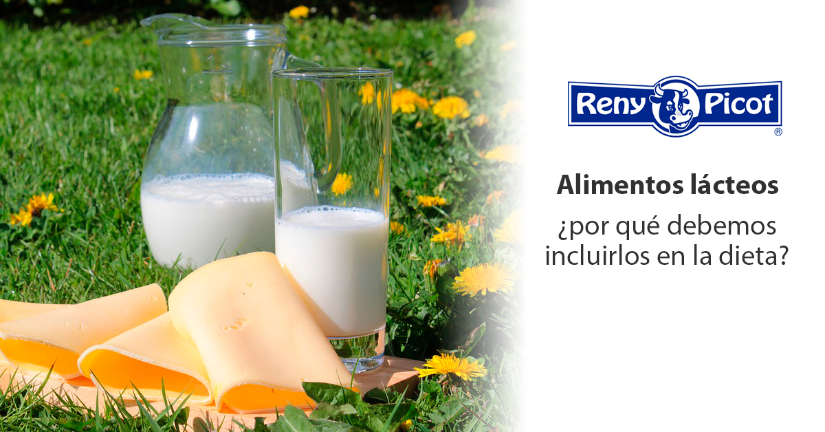 Alimentos Lácteos: por qué debes incluirlos en tu dieta diaria