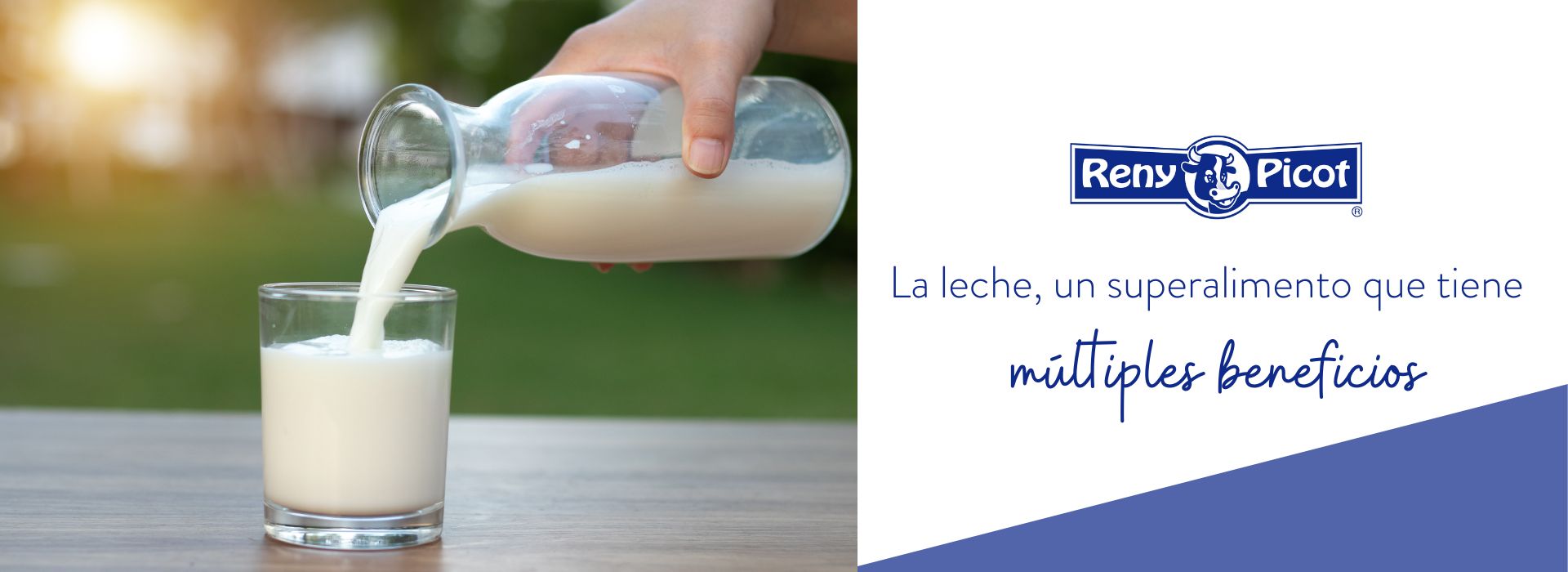 ¿Cómo conservar los lácteos durante el verano?