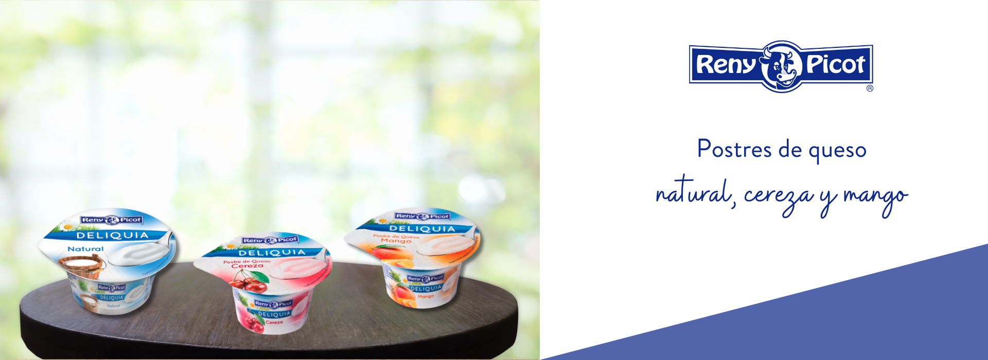 Reny Picot - Empresa Multinacional de Productos Lácteos