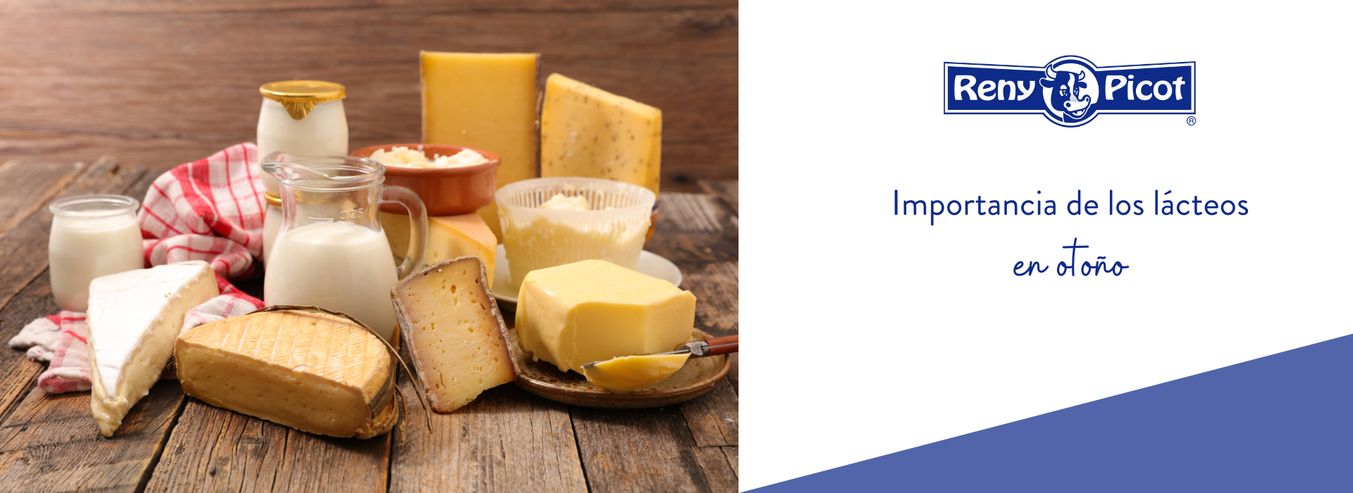 Reny Picot - Empresa Multinacional de Productos Lácteos