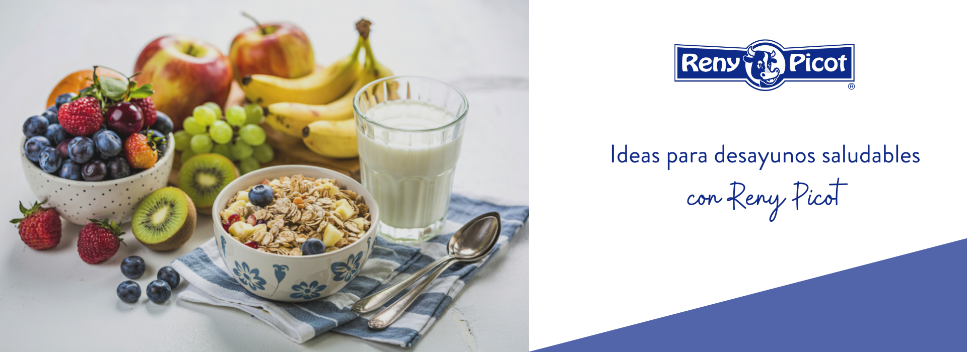 Reny Picot - Empresa Multinacional de Productos Lácteos